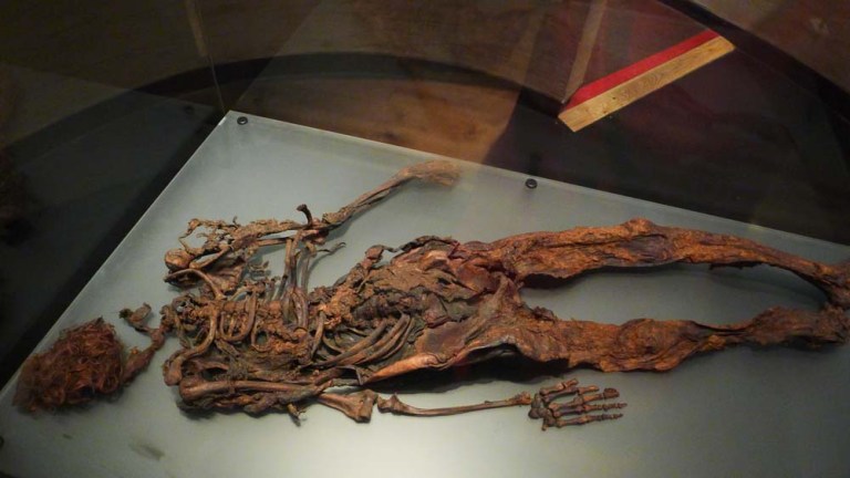 National Museum of Ireland – Archaeology | The Arts of Adventure